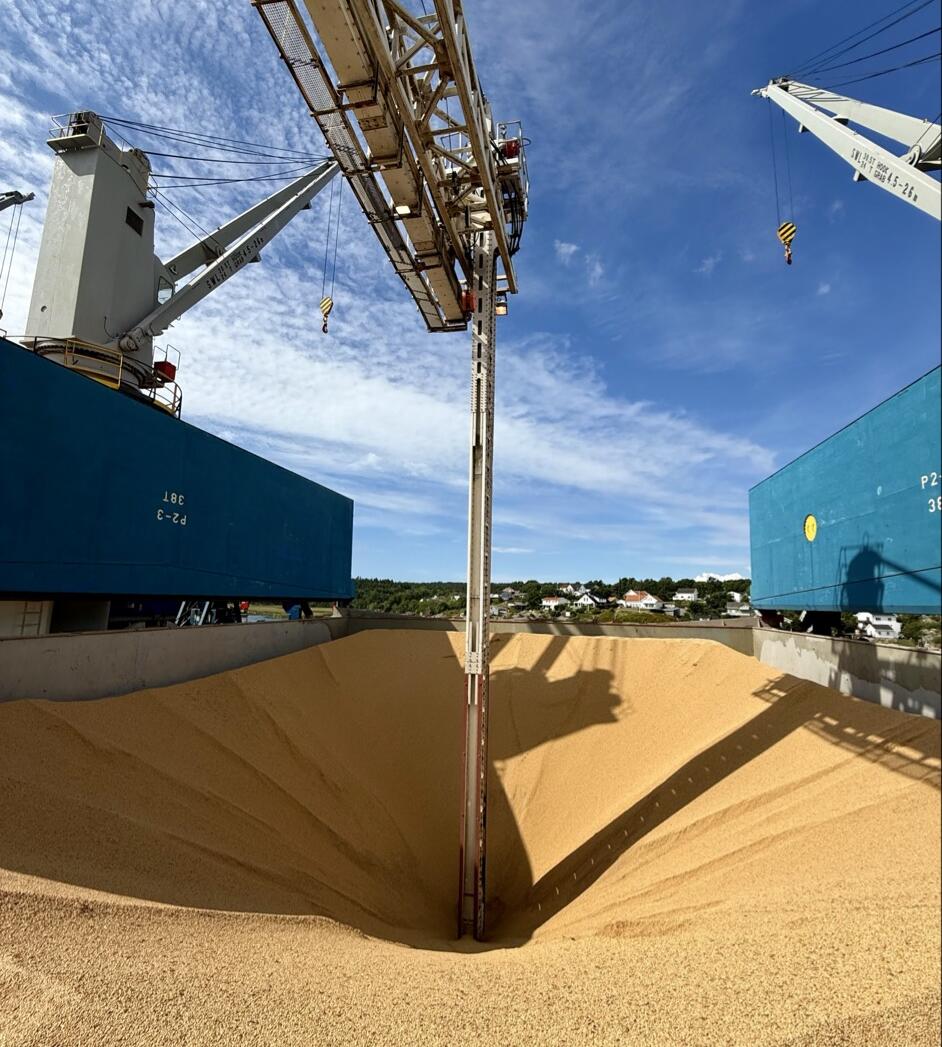 Press - Western Bulk